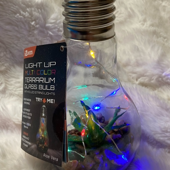 Accents | Light Up Multi Color Terrarium Glass Light Bulb | Poshmark